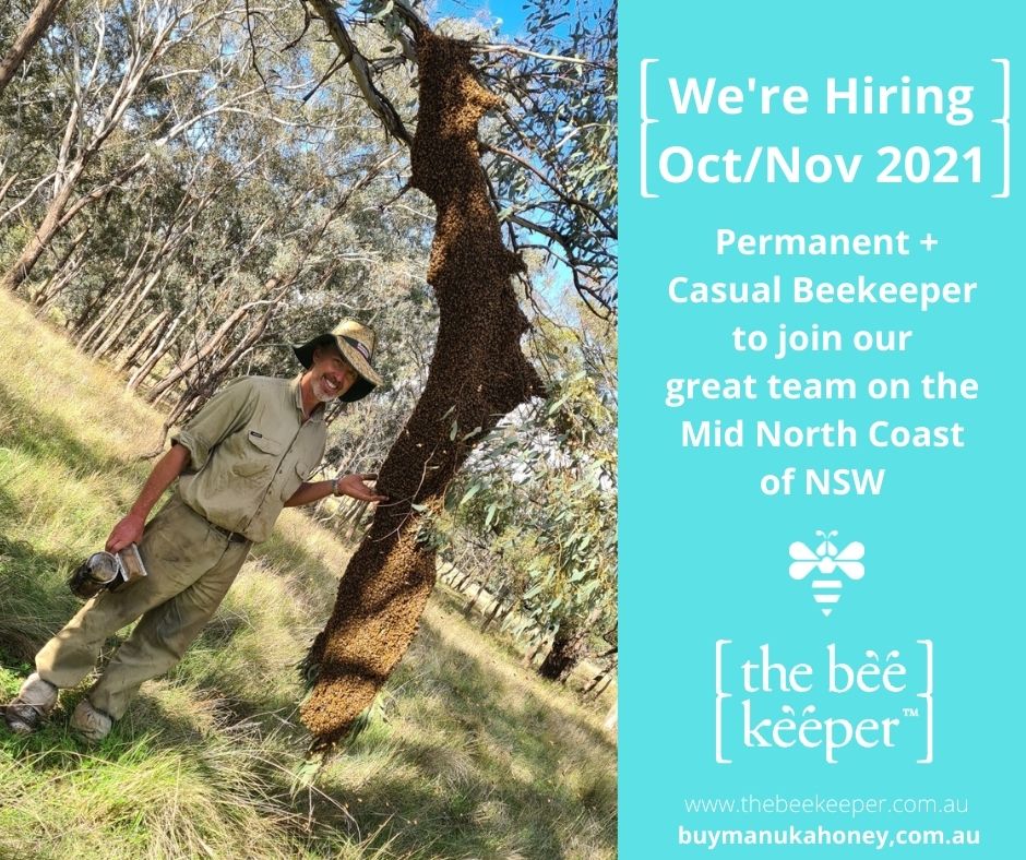 Job Vacancy : Beekeeper / Apiary Assistant (start Oct/Nov2021) Port Ma ...